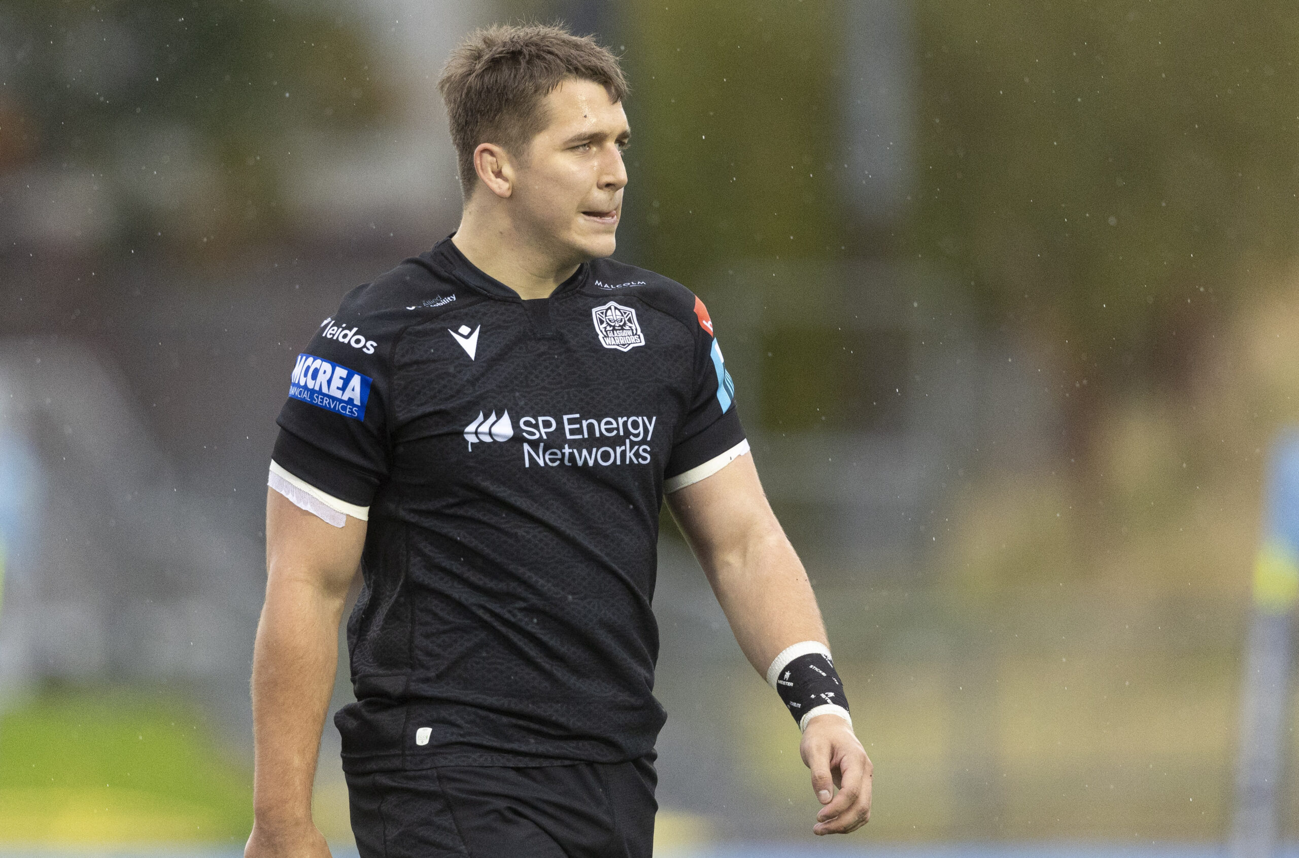 Jake Shearer - Glasgow Warriors